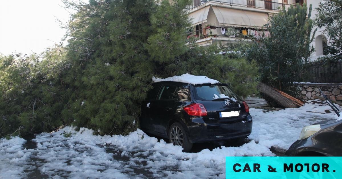 Πεσμένο δέντρο στο αυτοκίνητο: Από ποιον θα αποζημιωθώ; | carandmotor.gr