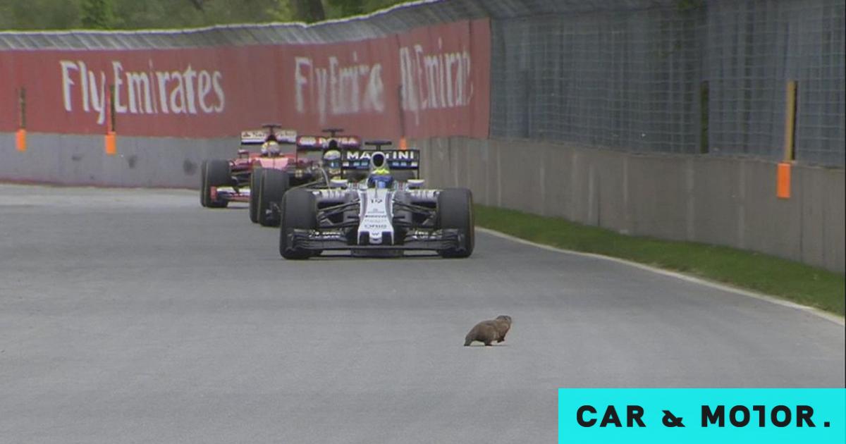 Formula 1: Αυτός είναι ο μεγαλύτερος κίνδυνος για τους πιλότους στην ...