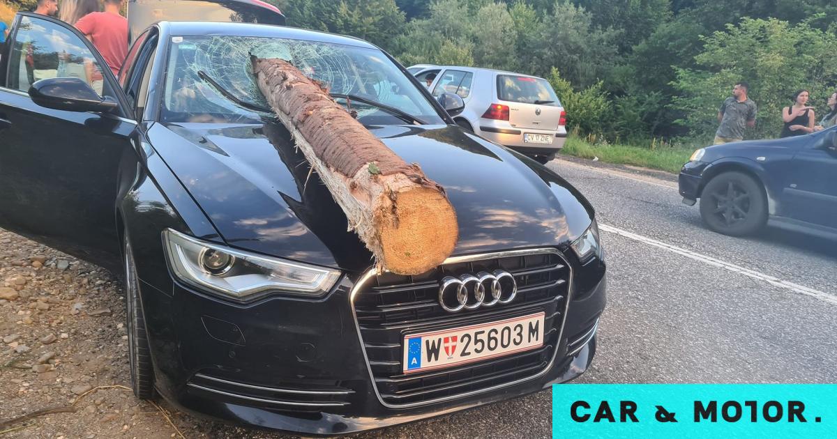 Κορμός δέντρου έπεσε από φορτηγό και πέρασε μέσα από το παρμπρίζ ...