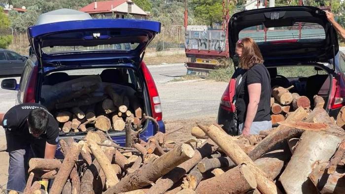 Μπορώ να μεταφέρω ξύλα για το τζάκι με το αυτοκίνητό μου; -Τι ισχύει ...